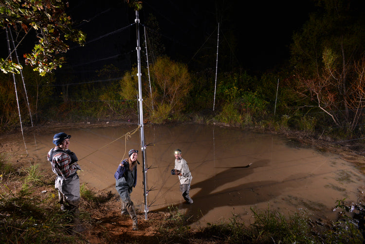 Bat Survey Solutions