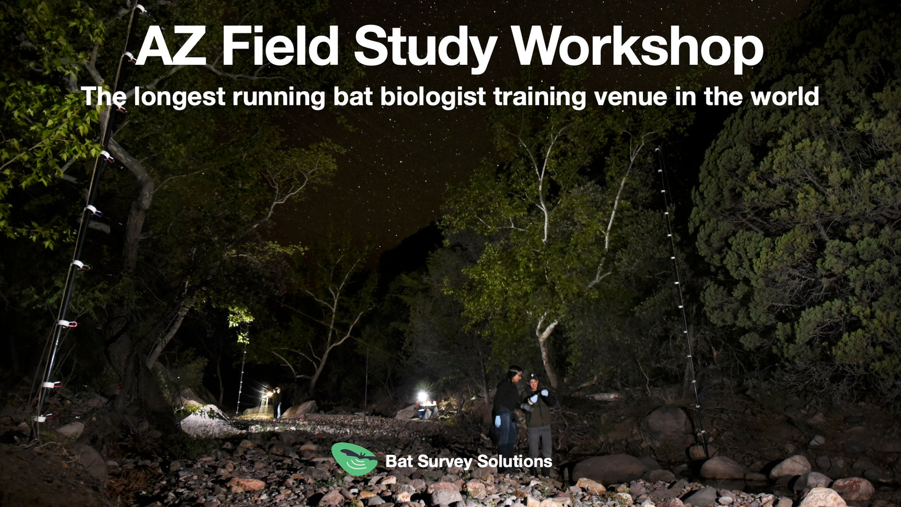 Bat Survey Solutions